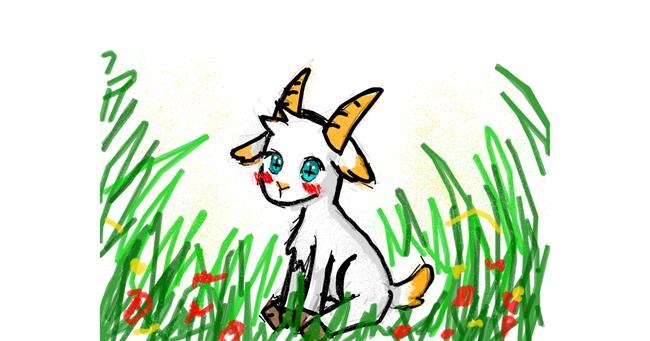 Drawing of Goat by Ray - Drawize Gallery!