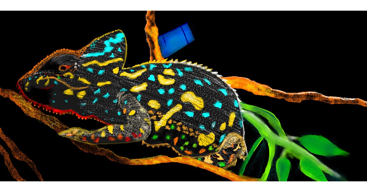 Watch Çhåching draw Chameleon!