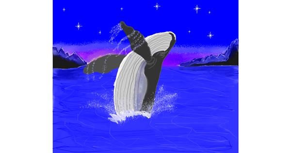 Kit - crtež od autora: Monja - Drawize galerija!