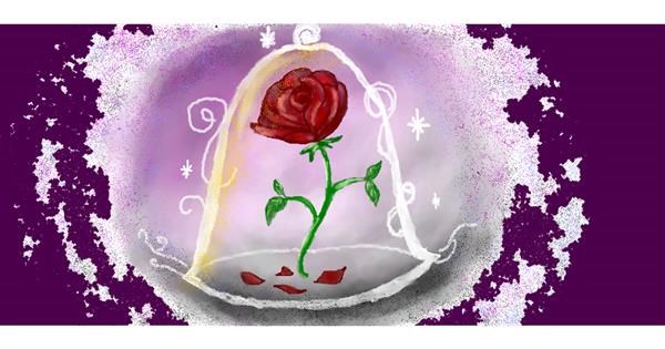Drawing of Rose by Aponi 襁 - Drawize Gallery!