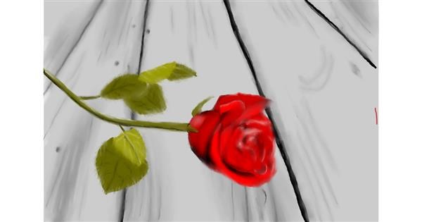 Ruža - crtež od autora: Wizard - Drawize galerija!