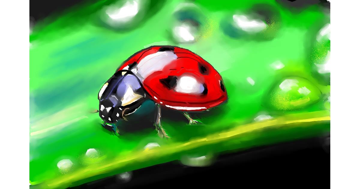 Ladybug Drawing - Gallery and How to Draw Videos!