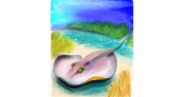 Drawing of Stingray by Walter nonwhite - Drawize Gallery!