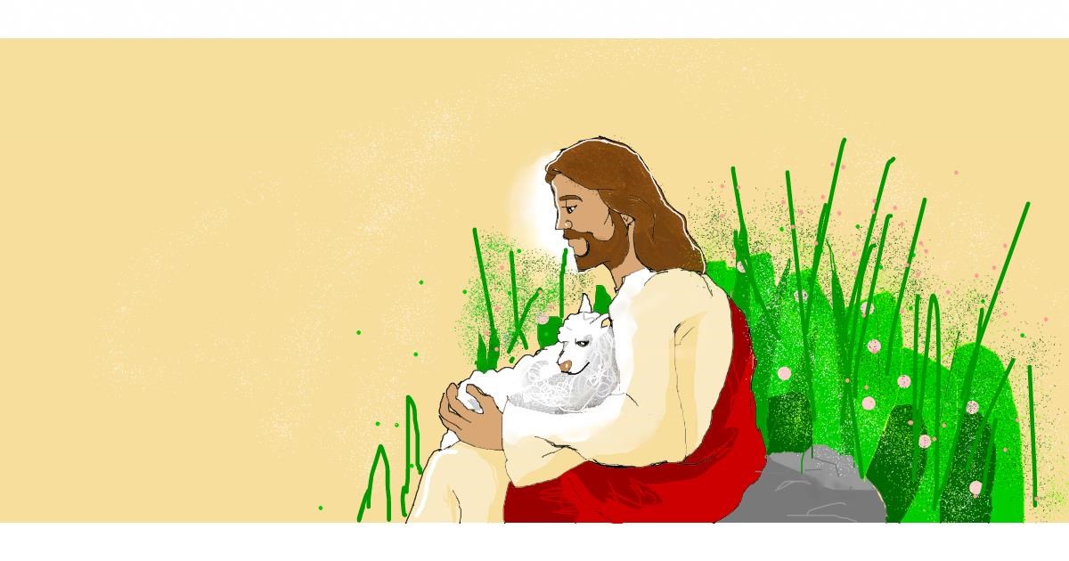 Ovca - crtež od autora: Lucy! - Drawize galerija!