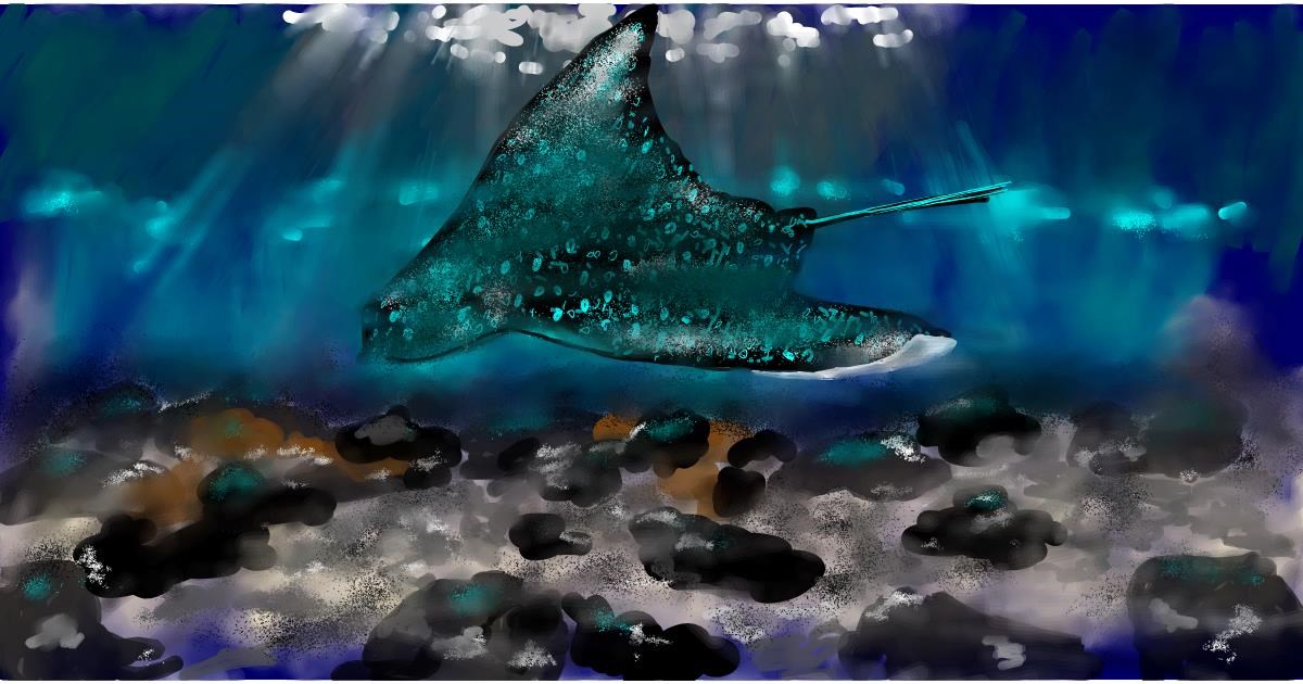 How To Draw A Realistic Stingray Stingray XXL – The Poi Room Ltd