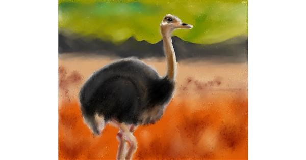 Drawing of Ostrich by Yasi - Drawize Gallery!