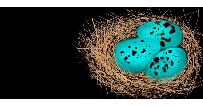 Gnijezdo - crtež od autora: S.Elizabeth - Drawize galerija!