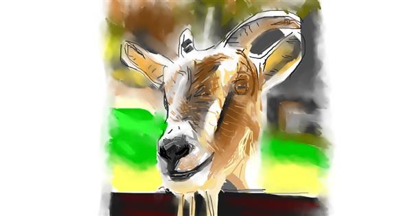 Drawing of Goat by Herbert - Drawize Gallery!