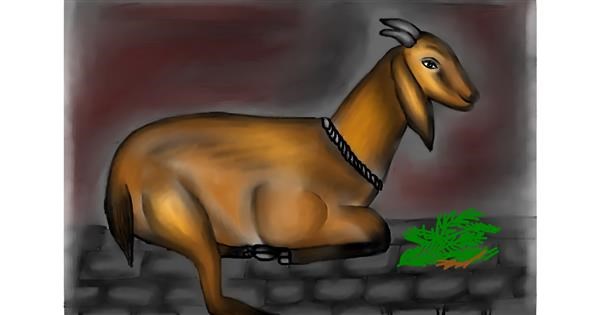 Drawing of Goat by Jan - Drawize Gallery!