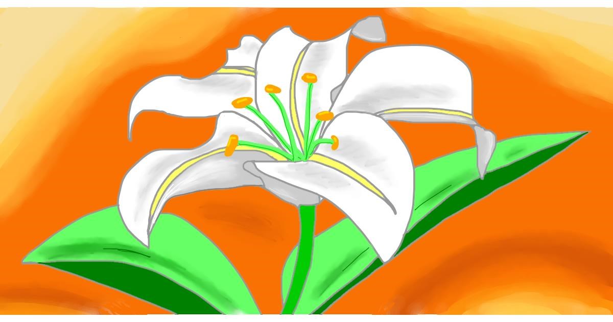 Watch Skipper draw Lily flower!
