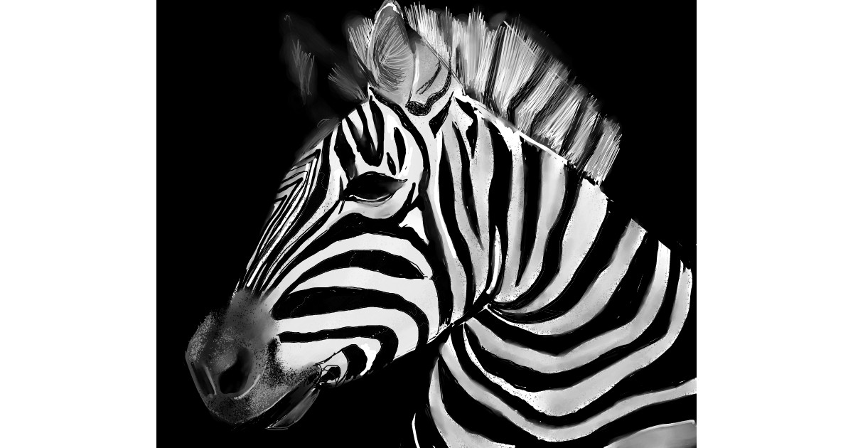 Watch Lou draw Zebra!