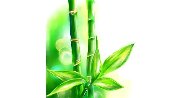 Drawing of Bamboo by ⋆su⋆vinci彡 - Drawize Gallery!