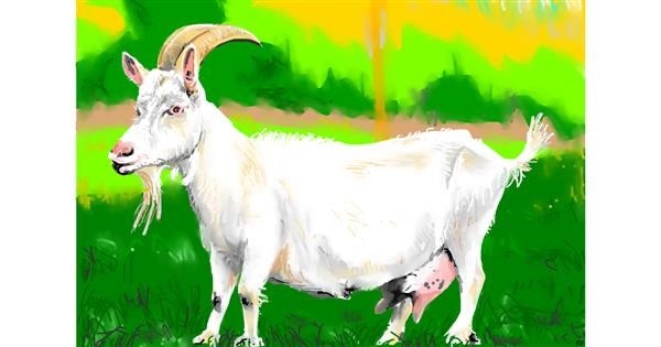 Drawing of Goat by flowerpot - Drawize Gallery!