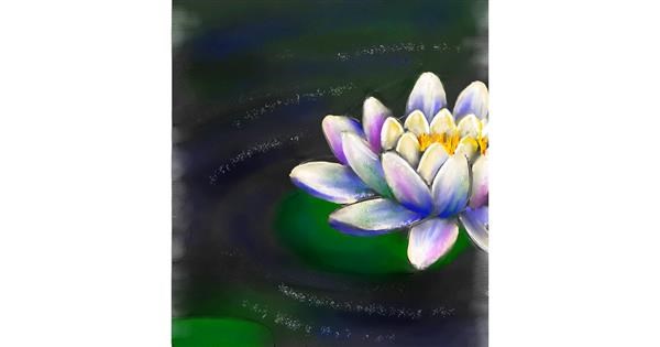 Drawing of Water lily by Kelsey - Drawize Gallery!