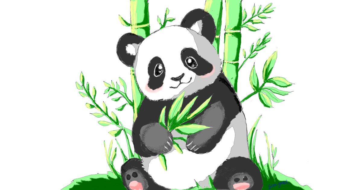 Watch Sunya draw Panda!