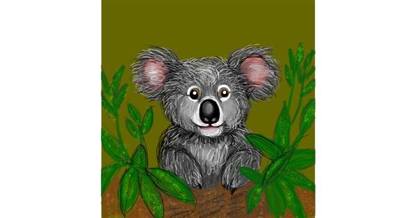 Drawing of Koala by KayXXXlee - Drawize Gallery!