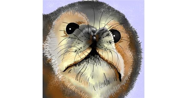 Tuljan - crtež od autora: Keke •_• - Drawize galerija!