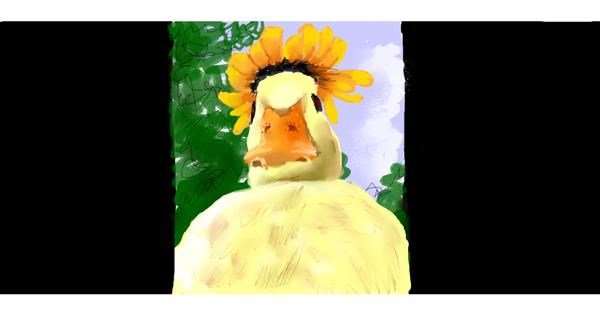 Drawing of Duck by Güber Gru - Drawize Gallery!