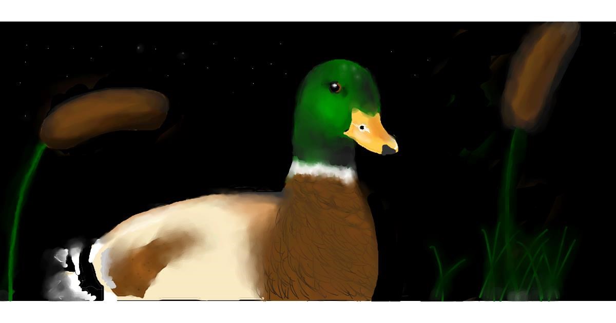 Watch leonardo de vinci draw Duck!