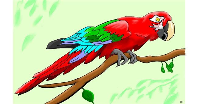Drawing of Parrot by flowerpot - Drawize Gallery!
