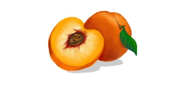 Drawing of Peach by Scott - Drawize Gallery!