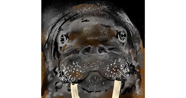 Drawing of Walrus by Eclat de Lune - Drawize Gallery!