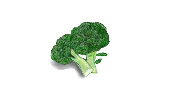 Drawing of Broccoli by Chaching - Drawize Gallery!