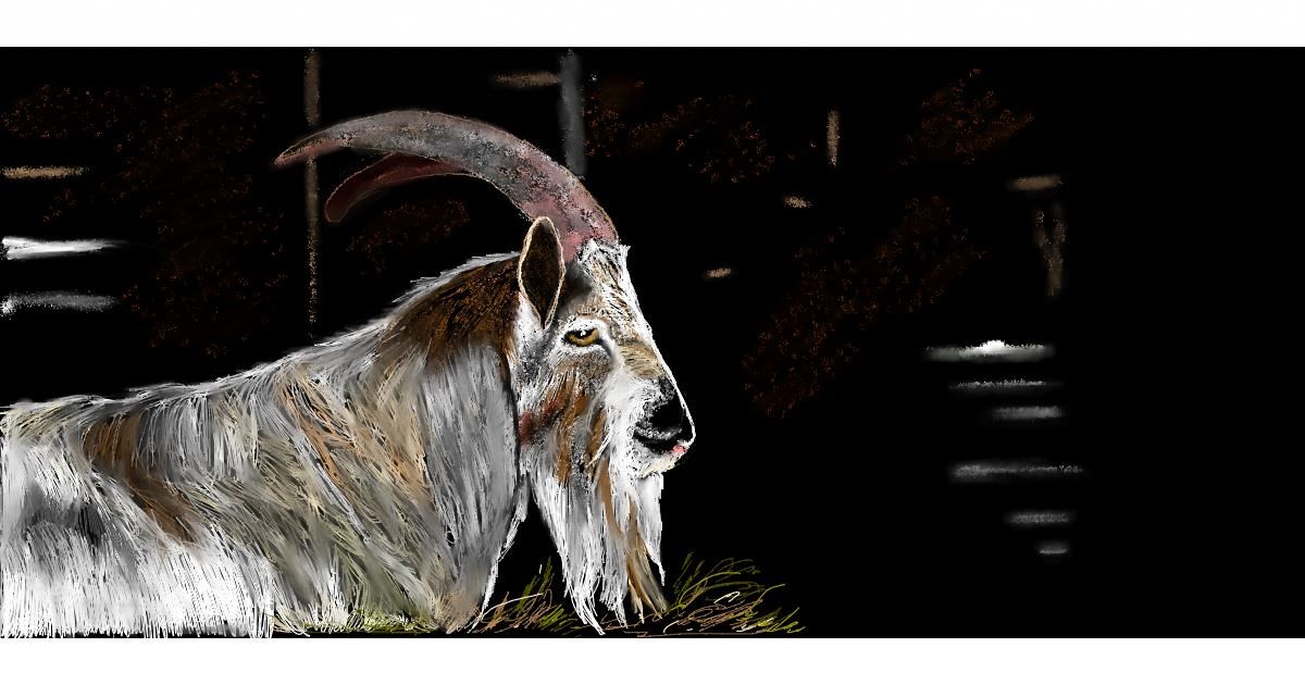 Watch Çhåching draw Goat!