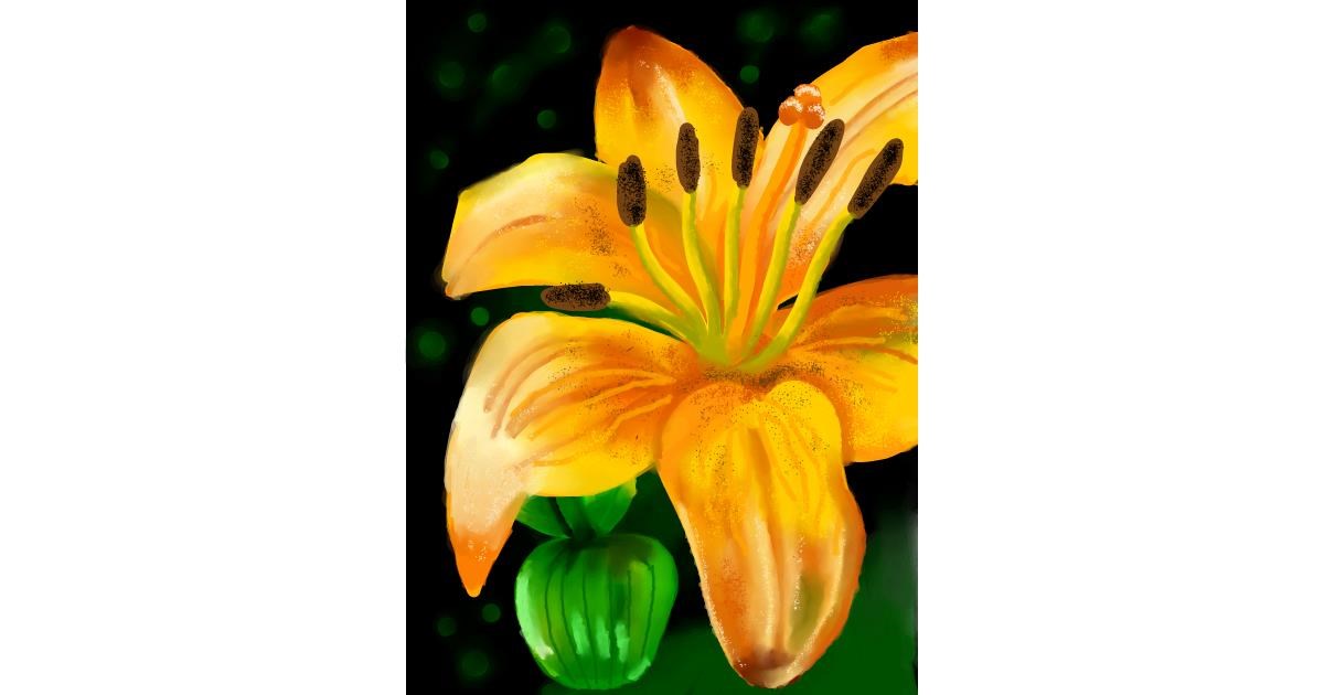 Watch Moby draw Lily flower!