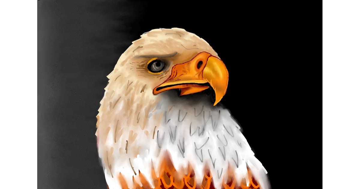 Pogledajte kako Lollipop crta Orao!