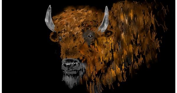 Drawing of Bison by Eclat de Lune - Drawize Gallery!