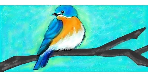 Ptica - crtež od autora: Debidolittle - Drawize galerija!