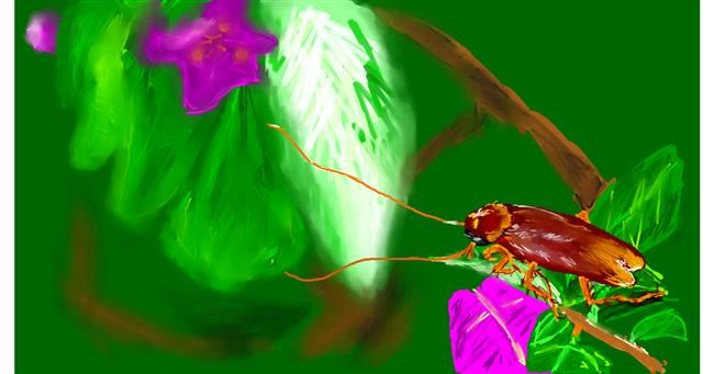 Drawing of Cockroach by Effulgent Emerald - Drawize Gallery!