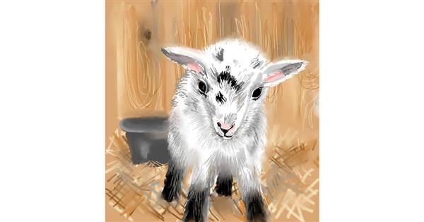 Drawing of Goat by ⋆su⋆vinci彡 - Drawize Gallery!