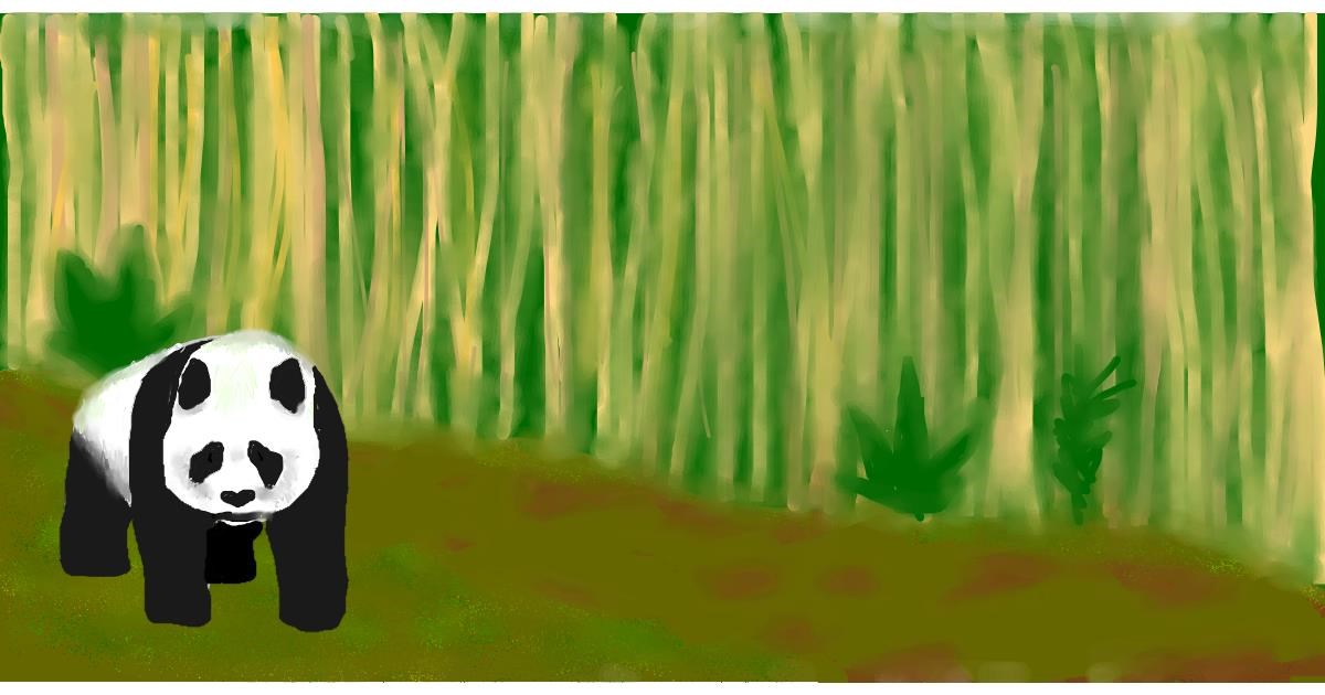 Watch leonardo de vinci draw Panda!