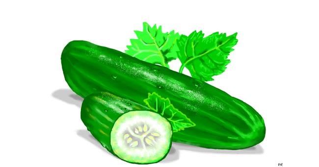 Drawing of Cucumber by flowerpot - Drawize Gallery!