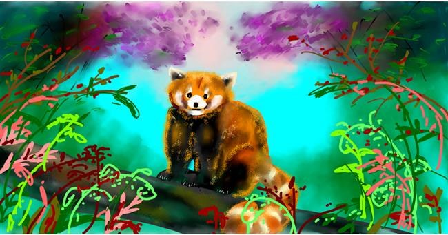 Drawing of Red Panda by Eclat de Lune - Drawize Gallery!