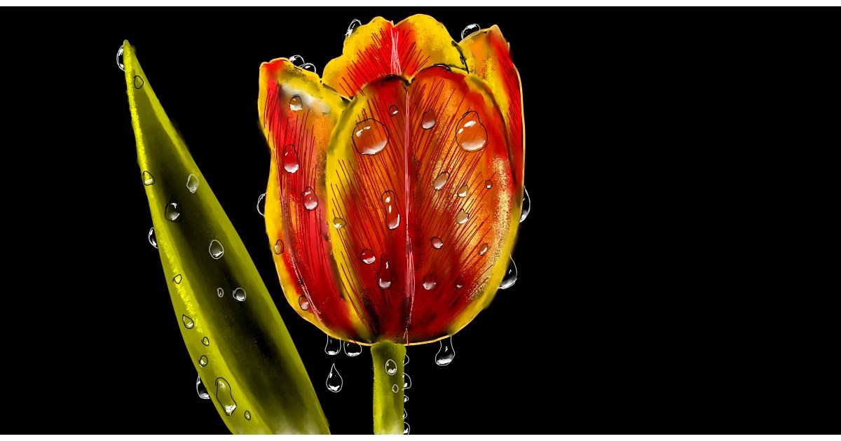 Tulips Drawing - Gallery and How to Draw Videos!