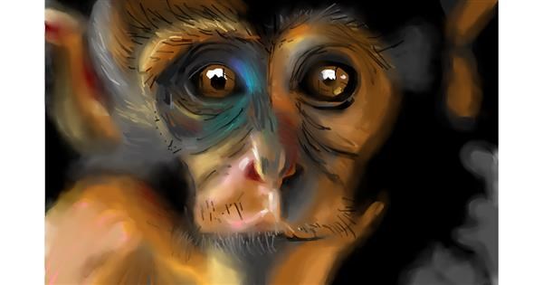 Drawing of Monkey by Edgar - Drawize Gallery!