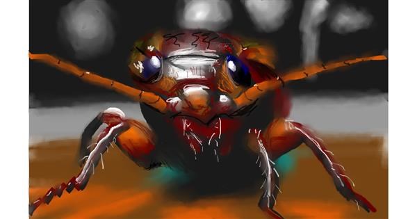 Drawing of Cockroach by Herbert - Drawize Gallery!
