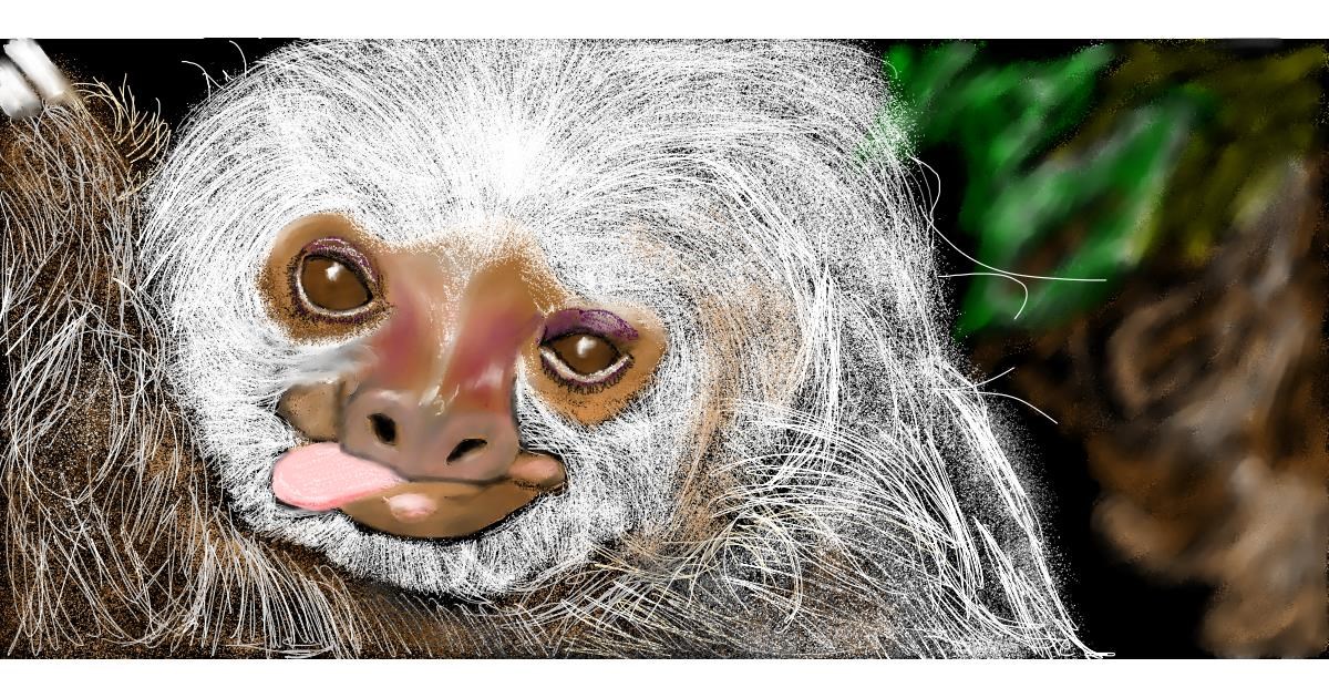 Sloth Drawing - Gallery and How to Draw Videos!