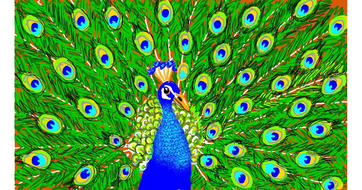 Watch SAM AKA MARGARET draw Peacock!