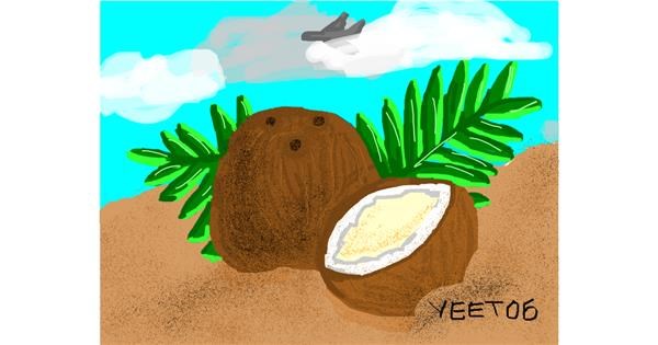 Coconut Drawing - Gallery and How to Draw Videos!
