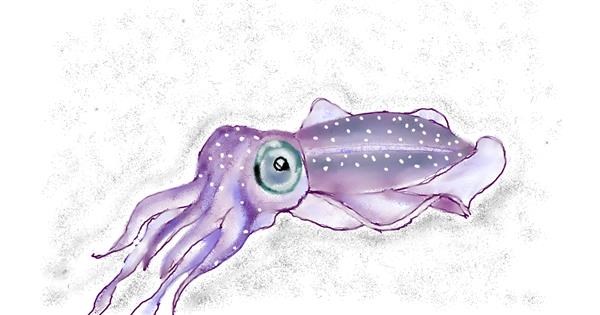 Drawing of Cuttlefish by Chipakey - Drawize Gallery!