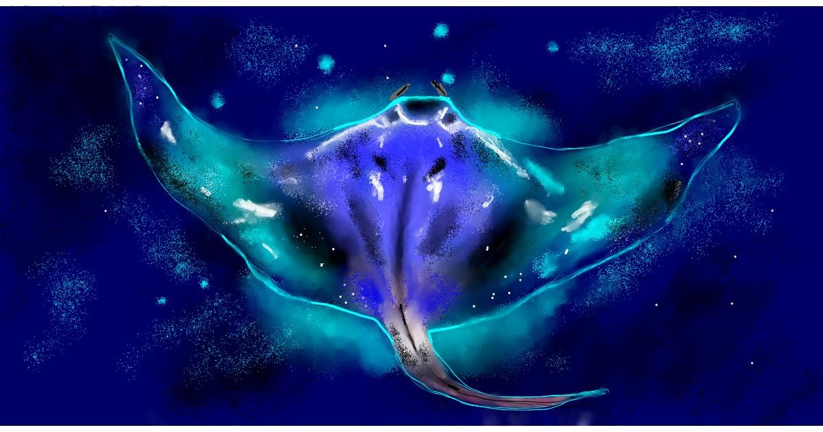 Stingray Drawing - Gallery and How to Draw Videos!