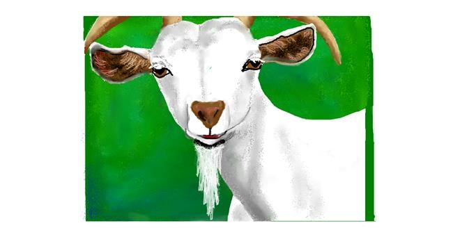 Koza - crtež od autora: DebbyLee - Drawize galerija!