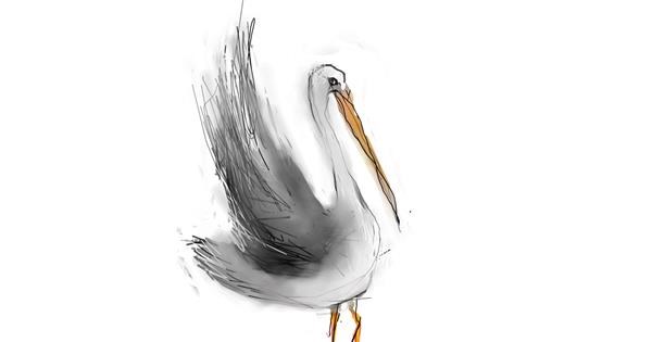 Drawing of Stork by Sweetheart♥︎ - Drawize Gallery!