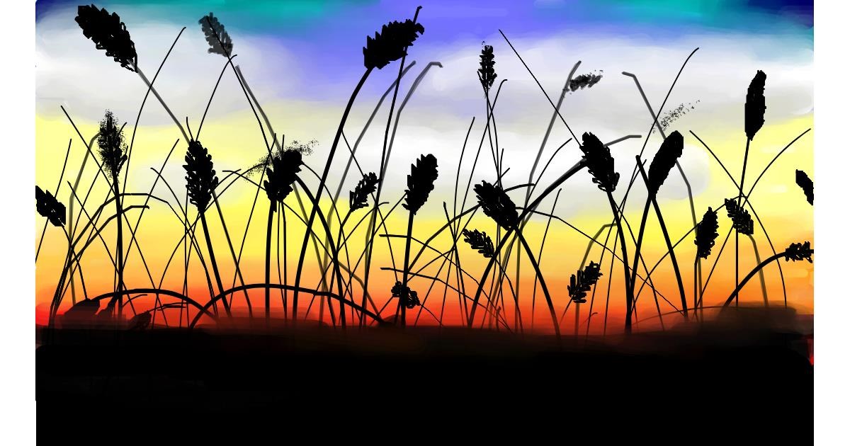 Watch Percabeth Everlark draw Wheat!