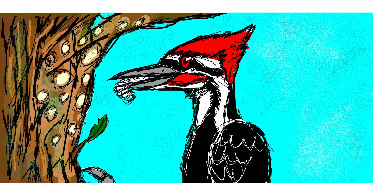Watch GrimReaper draw Woodpecker!