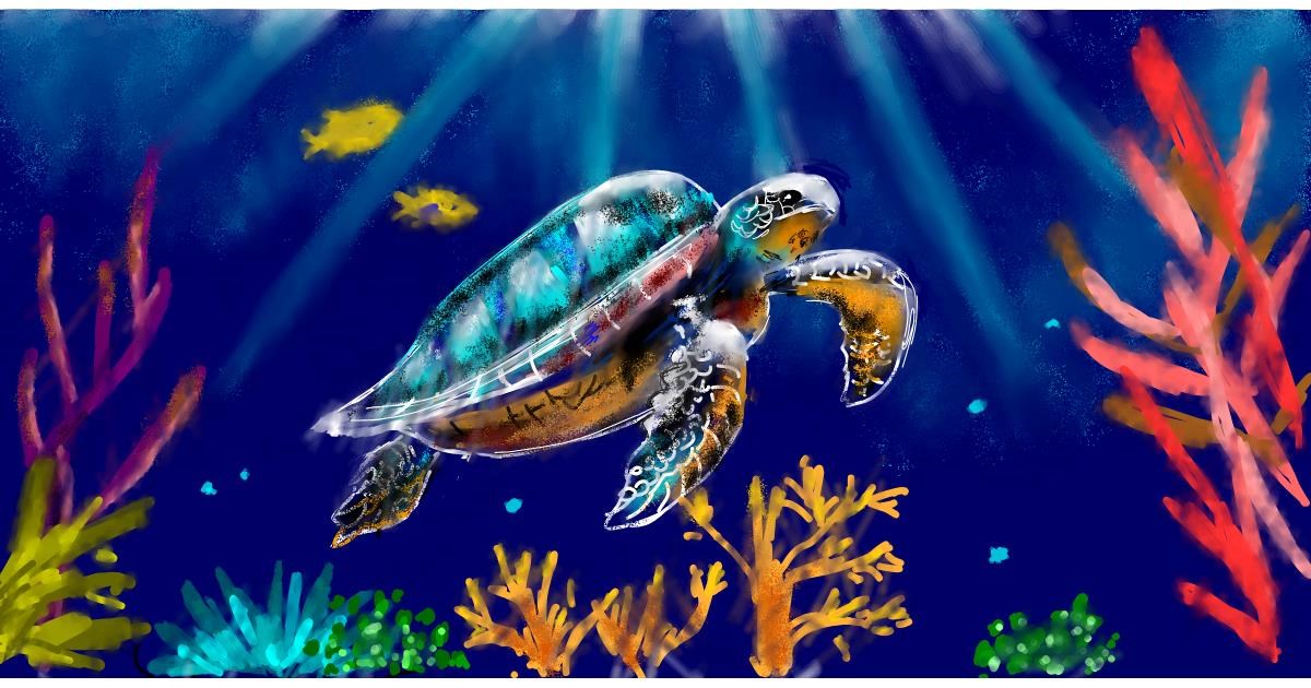 Sea turtle Drawing - Gallery and How to Draw Videos!